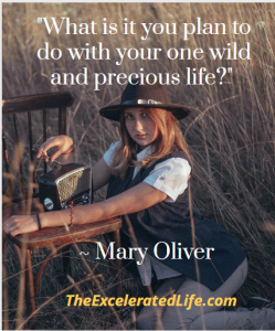 Focused Effort - The Excelerated Life