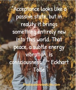 Learning to Accept - The Excelerated Life